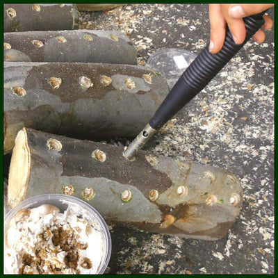 Sawdust Spawn Inoculator – forestfungi